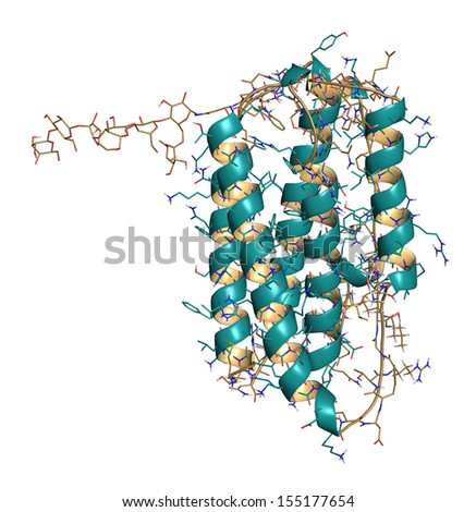 Interferon Beta Molecule Chemical Structure Cytokine Stock Illustration ...