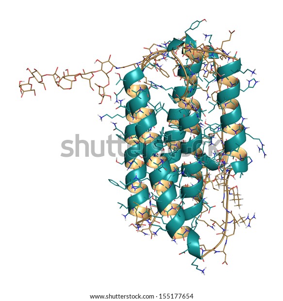 Interferon Beta Molecule Chemical Structure Cytokine Stock Illustration ...