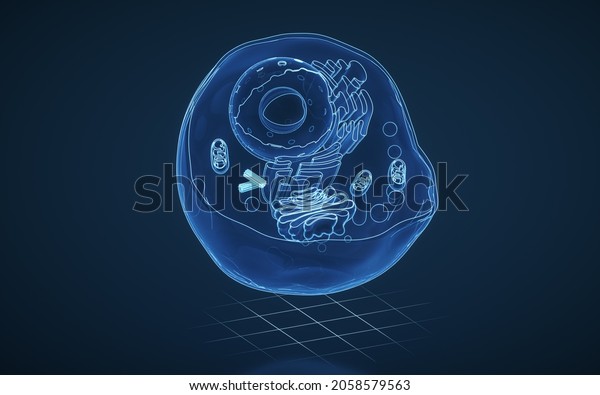 Animal Cell 3d Poster