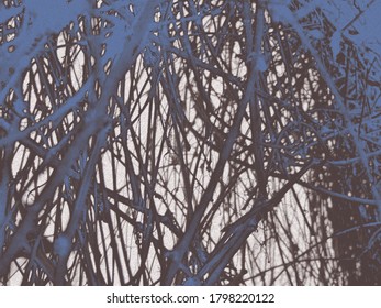 4,982 Intertwined branches Images, Stock Photos & Vectors | Shutterstock