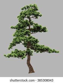 1,790 Pine tree alpha Images, Stock Photos & Vectors | Shutterstock