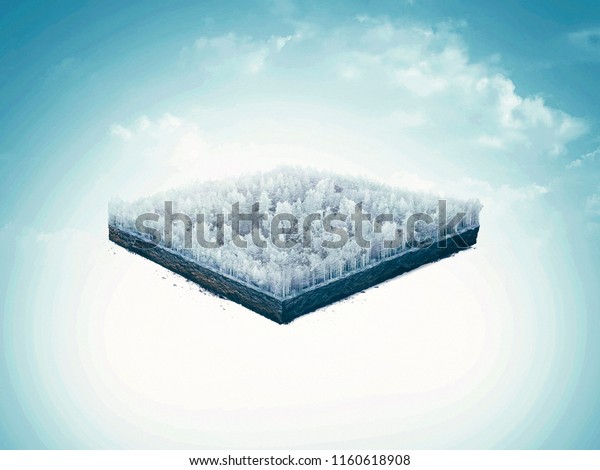 isolated cross section, soil slice of winter forest, taiga, deep forest ...