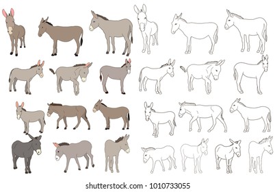 Donkey Mule Outline Collection Silhouettes: ภาพประกอบสต็อก 1010733064