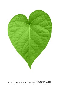 Isolated Heart Shaped Leaf Stock Illustration 35034748 | Shutterstock