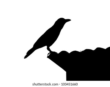 Fotografio Stock Illustrations, Images & Vectors | Shutterstock