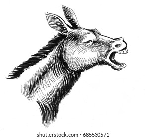 Jackass Head 스톡 일러스트 685530571 | Shutterstock