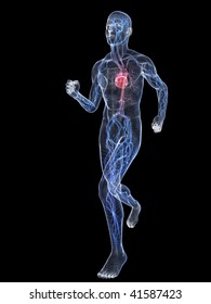 2,078 Human body wire frame Images, Stock Photos & Vectors | Shutterstock