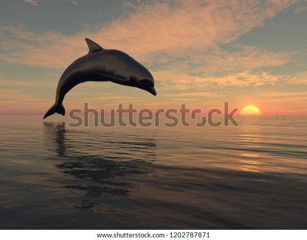 Jumping Dolphin Sunset 3d Rendering Stock Illustration 1202787871 ...