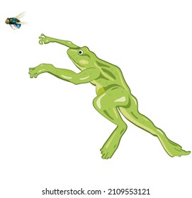 667 Frog catching fly Images, Stock Photos & Vectors | Shutterstock