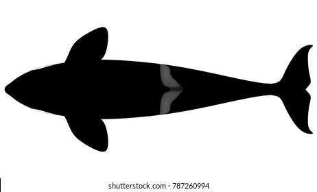 182 Whale top view Stock Illustrations, Images & Vectors | Shutterstock
