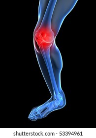 Female Hip Leg Muscles Side View 스톡 일러스트 1405732451 | Shutterstock