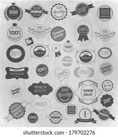 Label Typography Calligraphic Design Elements Stock Illustration ...