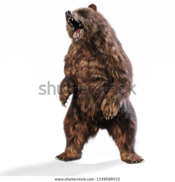 Large Brown Bear Standing Aggressive Posture Stock Illustration 1198088932
