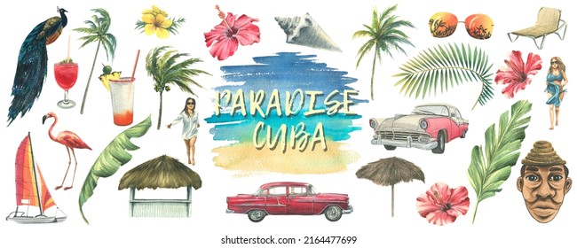 600 National flower cuba Images, Stock Photos & Vectors | Shutterstock