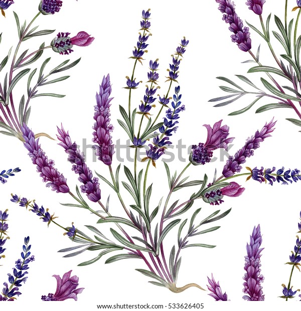 Lavender Seamless Pattern Flowers Your Design Stock Illustration 533626405