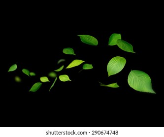 351,969 Leaf Flow Images, Stock Photos & Vectors | Shutterstock
