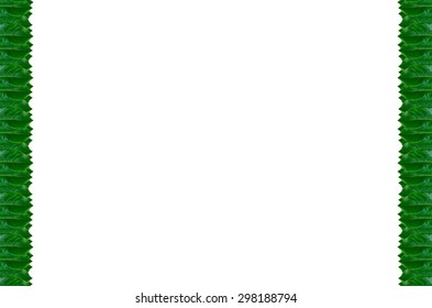 Leaf Left Right Frame Stock Illustration 298188794 | Shutterstock