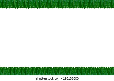 Ilustrasi Stok Leaf Top Bottom Frame 298188803 | Shutterstock