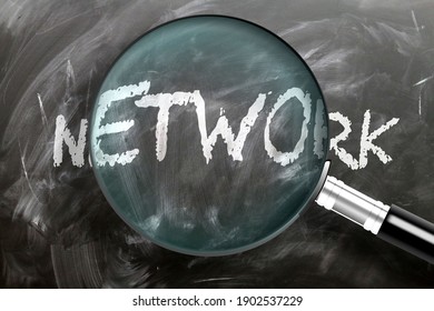 Learn Study Inspect Network Pictured Magnifying 库存插图 1902537229 ...