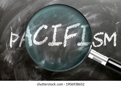 Learn Study Inspect Pacifism Pictured Magnifying Stock Illustration ...