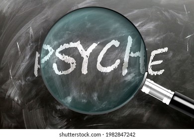 Learn Study Inspect Psyche Pictured Magnifying Stock Illustration 1982847242 | Shutterstock