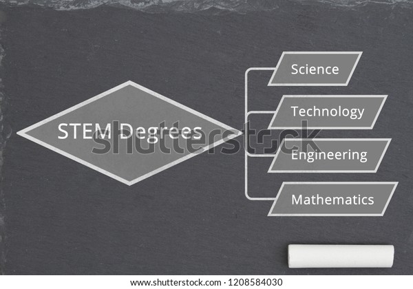 Learning About Stem Degrees Mind Map 스톡 일러스트 1208584030 | Shutterstock