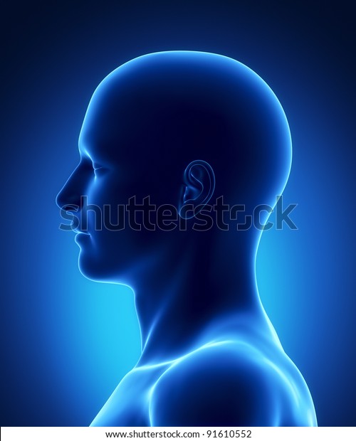 Left View Human Head Stock Illustration 91610552