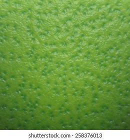 7,346 Lime skin texture Images, Stock Photos & Vectors | Shutterstock
