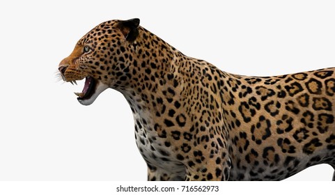 Leopard 3d Stock Illustration 716562973 | Shutterstock