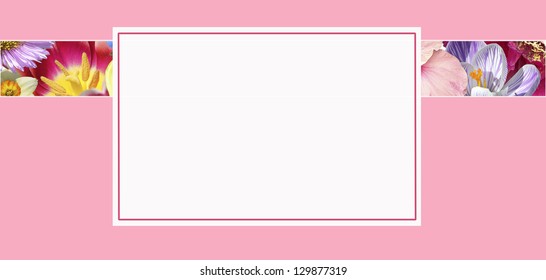 Light Pink Background Rectangle Copy Space Stock Illustration 129877319 ...