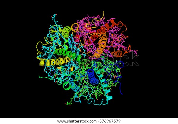 Lightharvesting Complex Array Protein Chlorophyll Molecules Stock ...