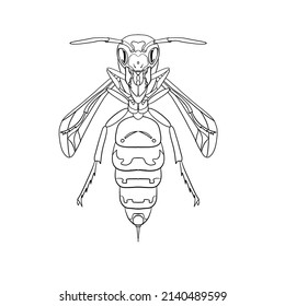 Linear Drawing Wasp On White Background Stock Illustration 2140489599 ...