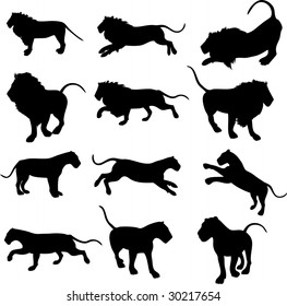 7,379 Lion shadow Images, Stock Photos & Vectors | Shutterstock