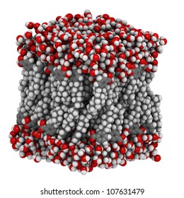 Lipid Bilayer Cell Membrane Model Chemical Stock Illustration 110938682