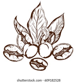 Logo Flavored Coffee Cherry Cherry Fruit Stock Illustration 609182528