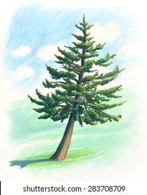 Lone Leaning Pine Tree Soft Landscape 스톡 일러스트 283708709 | Shutterstock