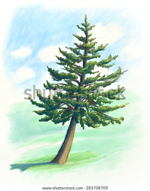 Lone Leaning Pine Tree Soft Landscape Stock Illustration 283708709 ...
