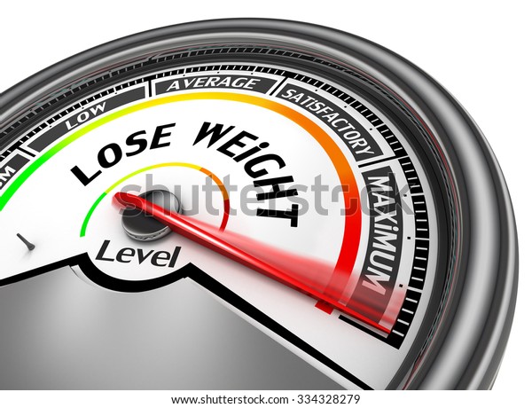Lose Weight Maximum Level Modern Conceptual Stock Illustration ...