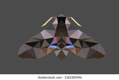 Low Poly Moth: ภาพประกอบสต็อก 1181505946 | Shutterstock