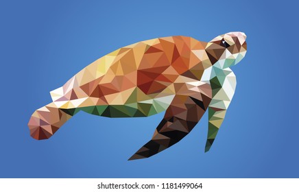 3,770 Shell poly Images, Stock Photos & Vectors | Shutterstock
