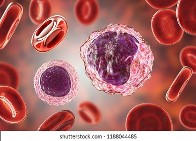 150 imágenes de Agranulocyte - Imágenes, fotos y vectores de stock ...