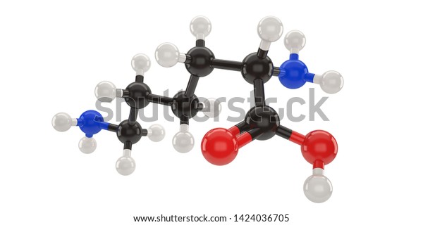Lysine Molecule Structure 3d Illustration Clipping Stock Illustration ...