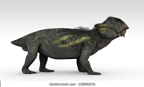 Lystrosaurus Isolated Stock Illustration 150830276