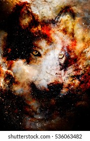 102 Galaxy wolf face Images, Stock Photos & Vectors | Shutterstock