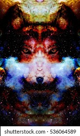 102 Galaxy wolf face Images, Stock Photos & Vectors | Shutterstock