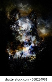 102 Galaxy wolf face Images, Stock Photos & Vectors | Shutterstock
