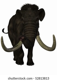 1,727 Mammoth face Images, Stock Photos & Vectors | Shutterstock