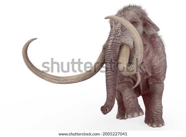 Mammoth Flipped Side View White Background Stock Illustration ...