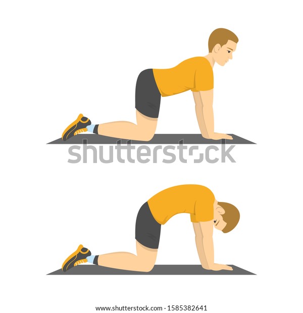 Man Doing Cat Cow Exercise Back Stock Illustration 1585382641