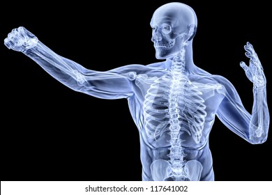 4,916 imágenes de Xray shoulder - Imágenes, fotos y vectores de stock ...